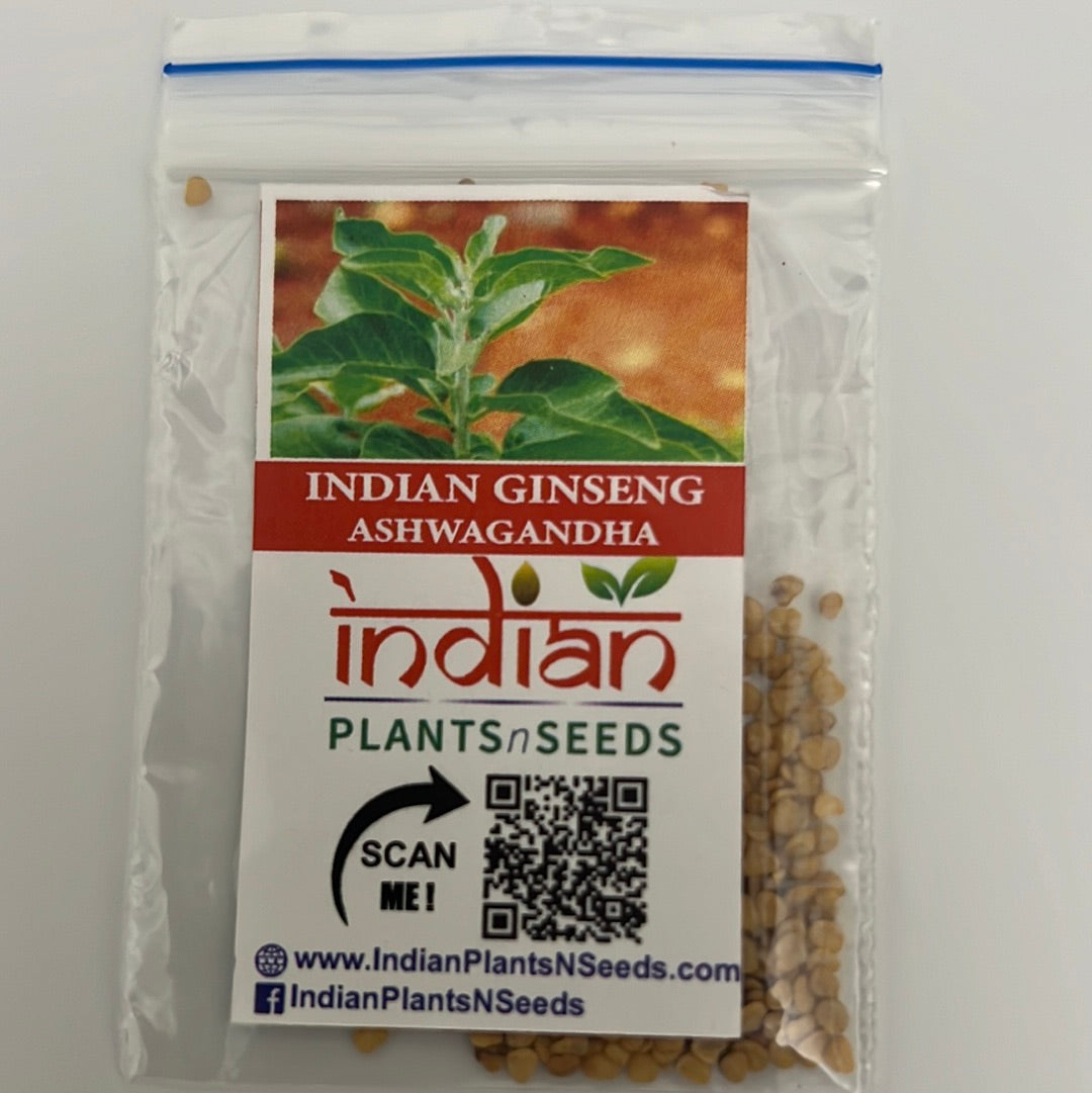 IPS104 - INDIAN GINSENG -ASHWAGANDHA- 50+ seeds – Indian PlantsNSeeds
