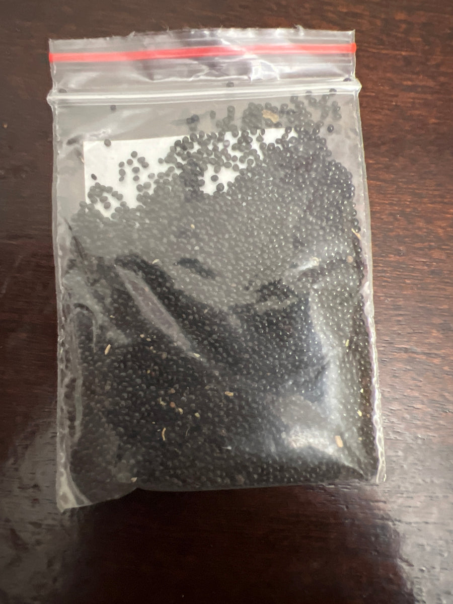 IPS089- Amaranthus RED STEM/Mulai Keerai -200 Plus Seeds – Indian ...