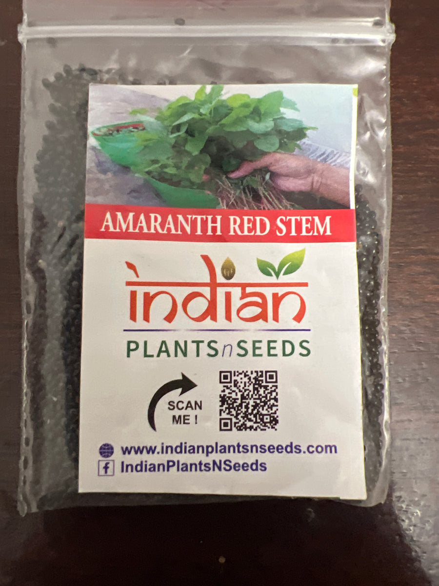 IPS089- Amaranthus RED STEM/Mulai Keerai -200 Plus Seeds – Indian ...
