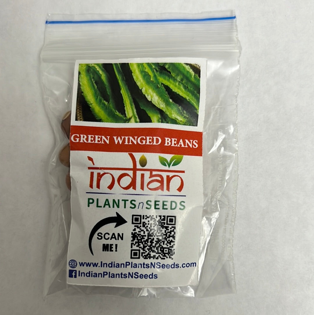 IPS091- Green WINGED BEANS -10 Plus Seeds – Indian PlantsNSeeds