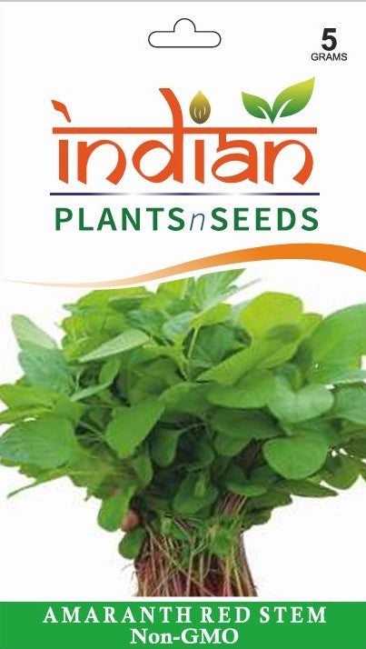 IPS089- Amaranthus RED STEM/Mulai Keerai Seeds – Indian PlantsNSeeds