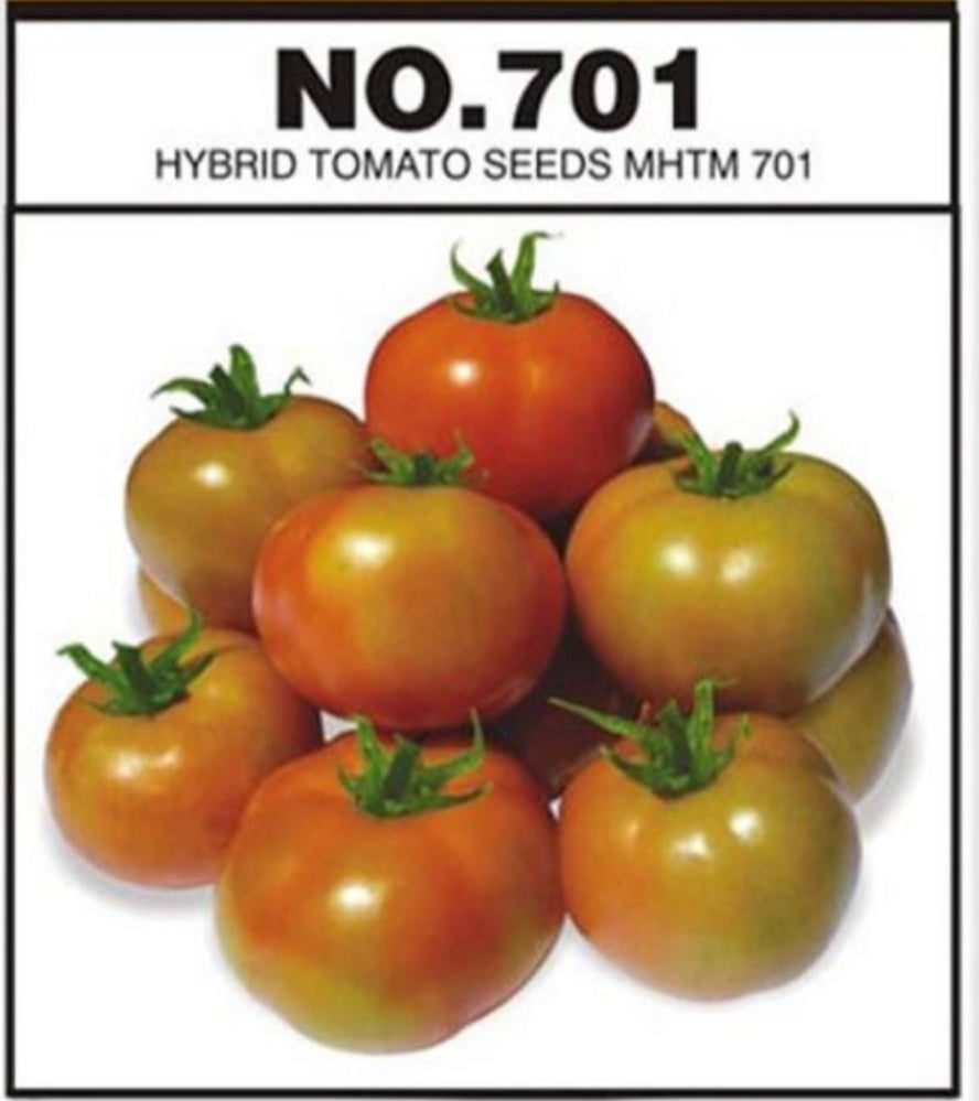 IPS031 - Indian Tomato Seeds - Hybrid Mahy 701 - 20+ Seeds – Indian ...