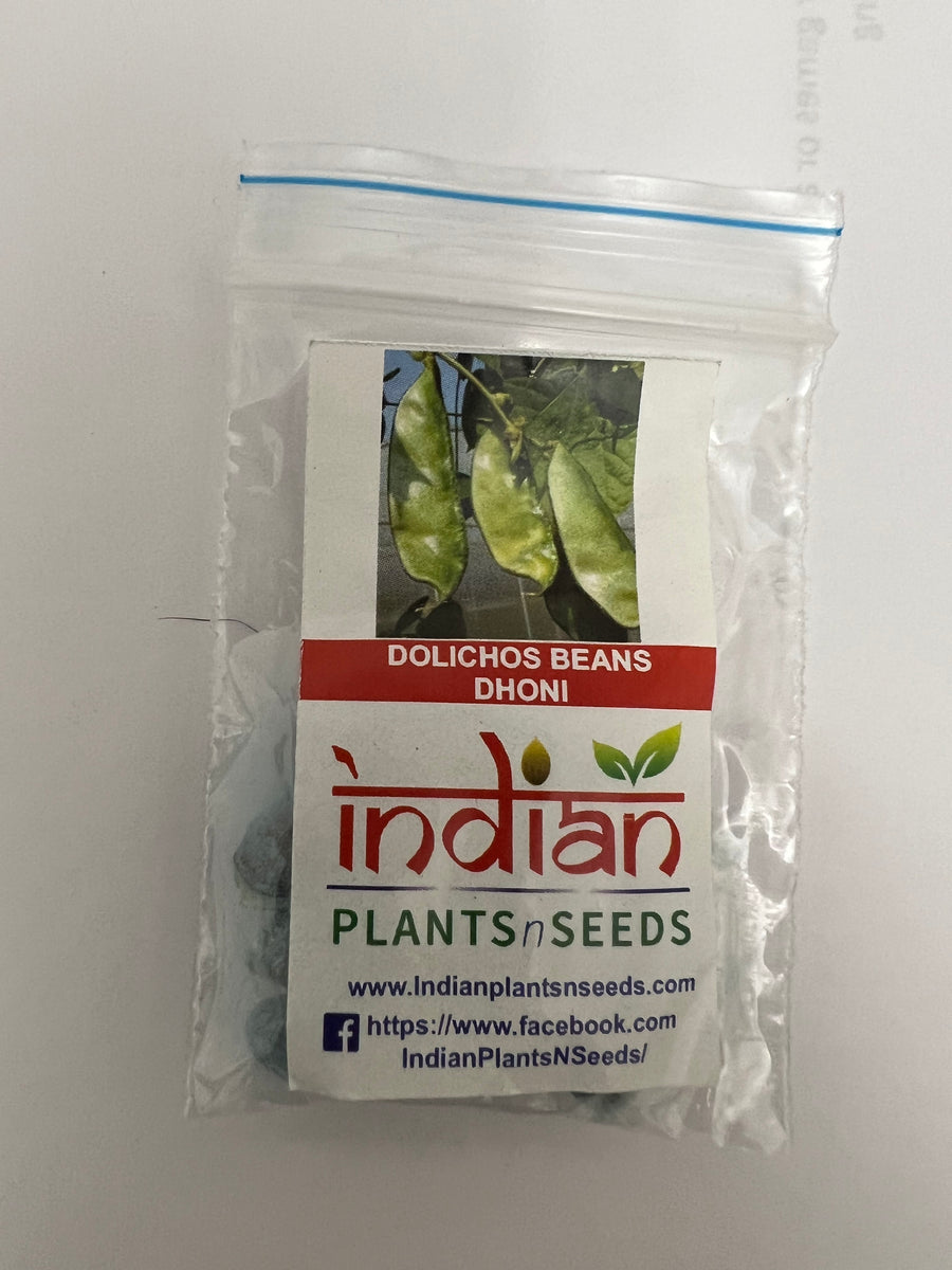 IPS082 - Thanjavur (Avarakkai) / Dolichos Beans - 10 Seeds – Indian ...